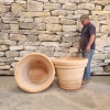 Buy Pots For Olive Trees | VILLAGGIO VERDE Grower & Supplier Of Olive Trees